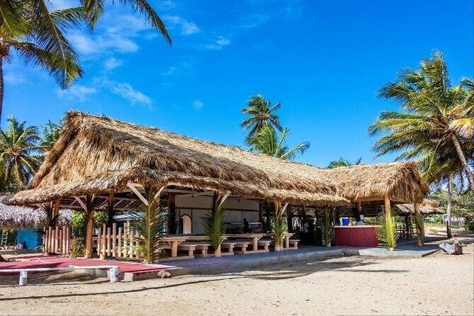 Dominican countryside, culture and beach escape with lunch - An in-depth look at the tour experience