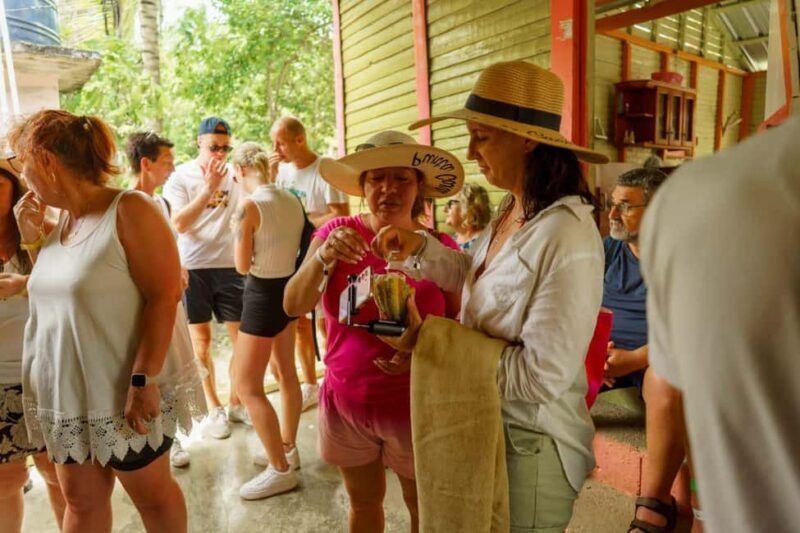 Dominican Culture & Buggy Family Adventure from Punta Cana - Key Points