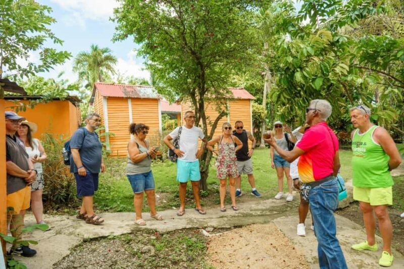 Dominican Culture & Buggy Family Adventure from Punta Cana - A Full-Day Taste of Dominican Culture and Nature