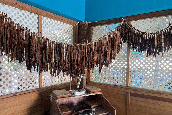 Dominican Culture Tour - How This Tour Balances Cost and Value