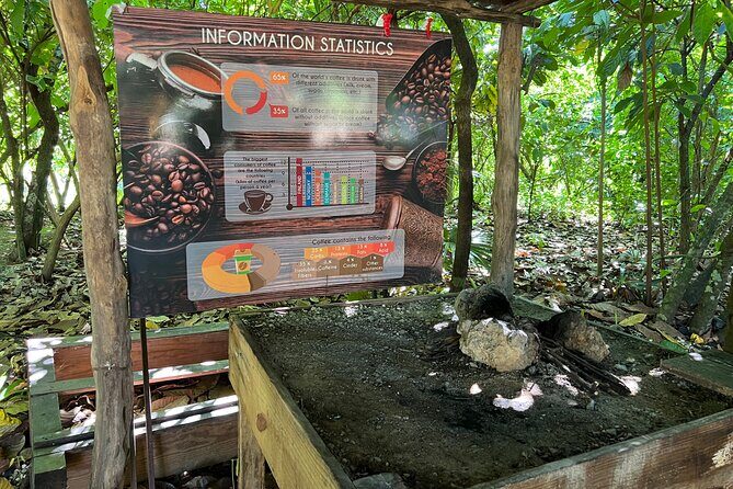 Dominican Culture Tour - Final Thoughts: Who Will Love This Tour?