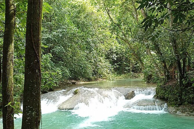 Dominican FLAVOR & COUNTRYSIDE SAFARI Pick-up Included - Authentic Experience with Real Value