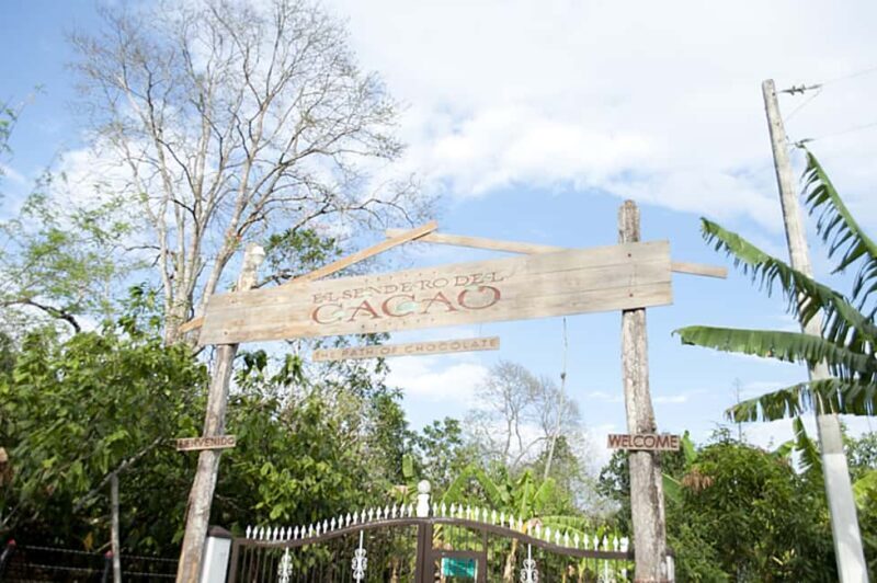 Dominican Republic: 3-Hour Chocolate Lovers Tour - Key Points