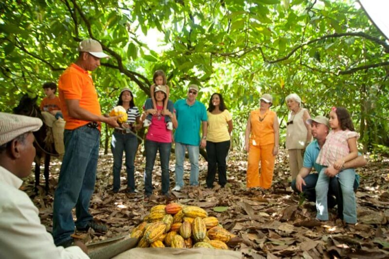 Dominican Republic Cacao Plantation Tour - Frequently Asked Questions