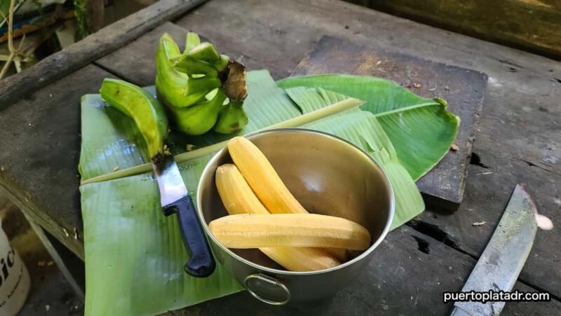 Dominican Republic Countryside Safari Tour from Puerto Plata - A Traditional Dominican Lunch & Local Highlights