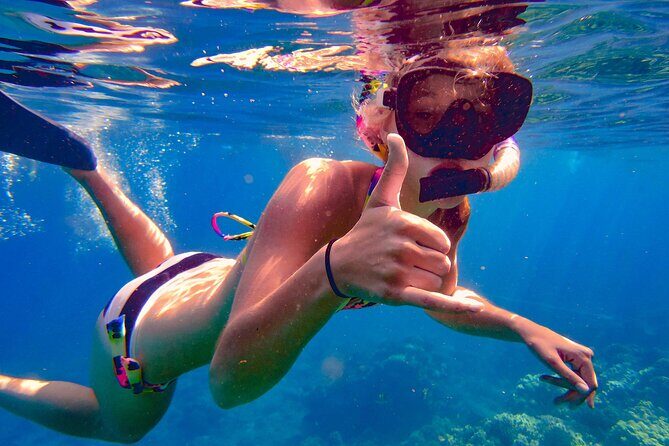 Dominican Republic: See Almost it ALL in 6 Days, 1st Class Custom Tours - The Sum Up