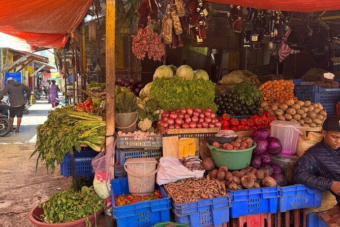 Dominican Roots: Unforgettable Cultural Adventure in Punta Cana - Final Words