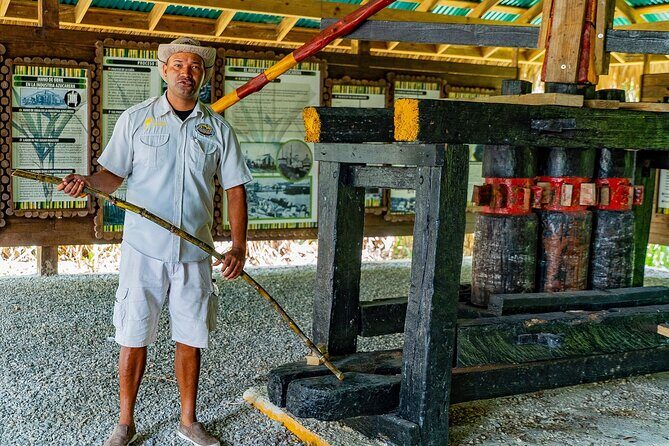 Dominican Safari Adventure: Culture, Nature & Macao Beach - An Overview of the Tours Highlights