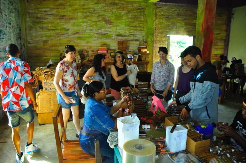 Dominican Safari from Punta Cana - The Sum Up: Who Should Consider This Tour