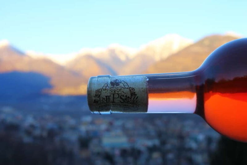Domodossola: Savor Wines & Local Treats in a Scenic Vineyard - A Closer Look at the Experience