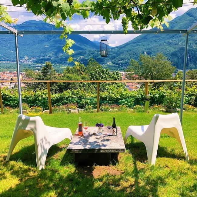 Domodossola: Savor Wines & Local Treats in a Scenic Vineyard - Practical Details for Planning