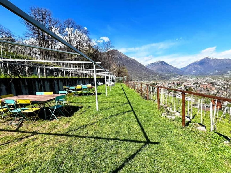 Domodossola: Savor Wines & Local Treats in a Scenic Vineyard - Authentic, Scenic, and Tasty — Who Will Love It?