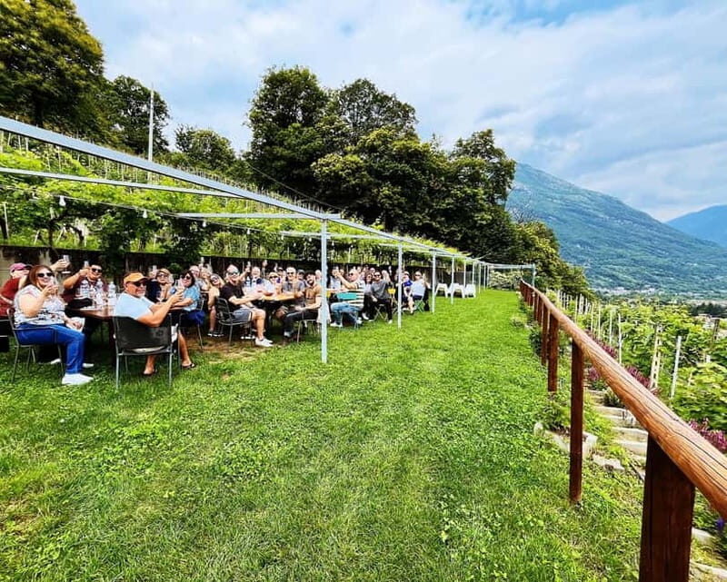 Domodossola: Savor Wines & Local Treats in a Scenic Vineyard - Final Thoughts