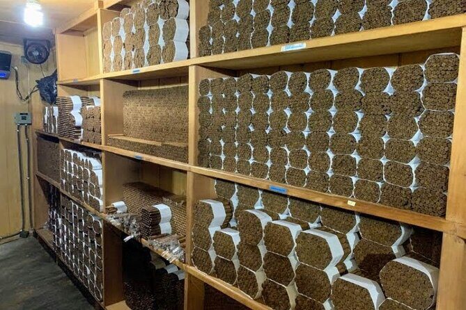 Don Lucas Cigar Factory & Store + Premium Rum Tasting (3 hours) - Overview of the Experience