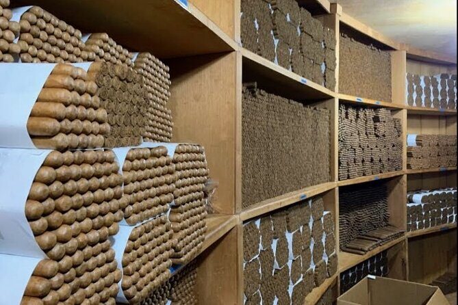 Don Lucas Cigar Factory & Store + Premium Rum Tasting (3 hours) - Who Will Enjoy This Tour?