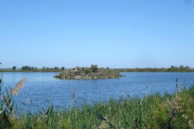 Doñana 4x4 and El Rocío Tour - An In-Depth Look at the Itinerary