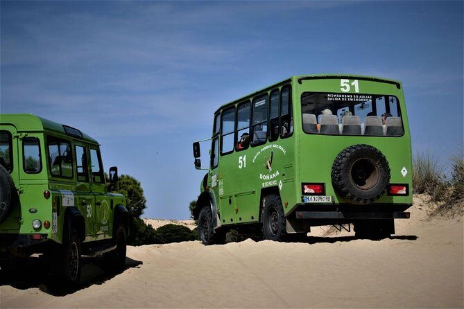 Doñana 4x4 and El Rocío Tour - Who Will Appreciate This Tour?