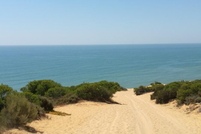 Donana National Park and El Rocío: Private Tour from Seville - Key Points