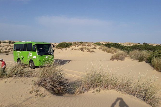 Doñana National Park in 4x4 and El Rocío - What the Price Covers & Why It’s Good Value