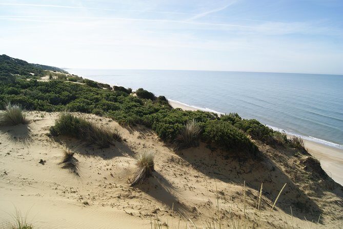 Doñana National Park in 4x4 and El Rocío - Final Thoughts
