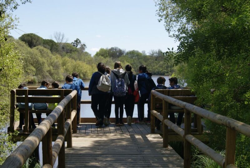 Doñana National Park Off-Road Tour from Seville - Key Points