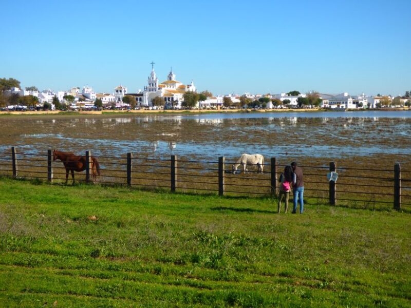Doñana National Park Off-Road Tour from Seville - The Itinerary in Detail