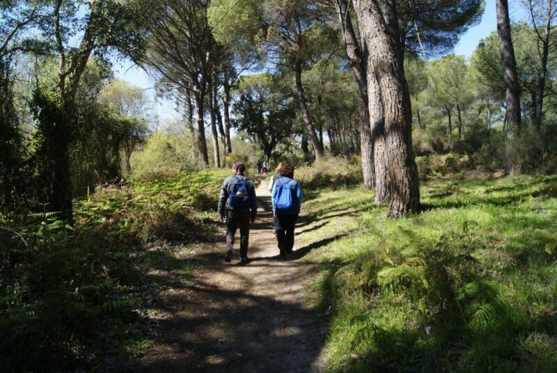 Doñana National Park Off-Road Tour from Seville - Authenticity and Practical Tips