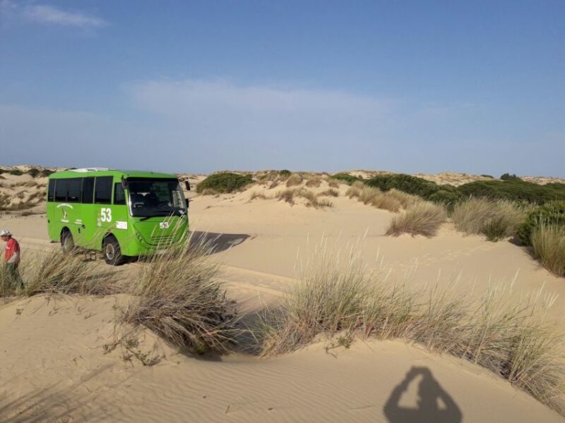 Doñana National Park Off-Road Tour from Seville - Who Will Love This Tour?