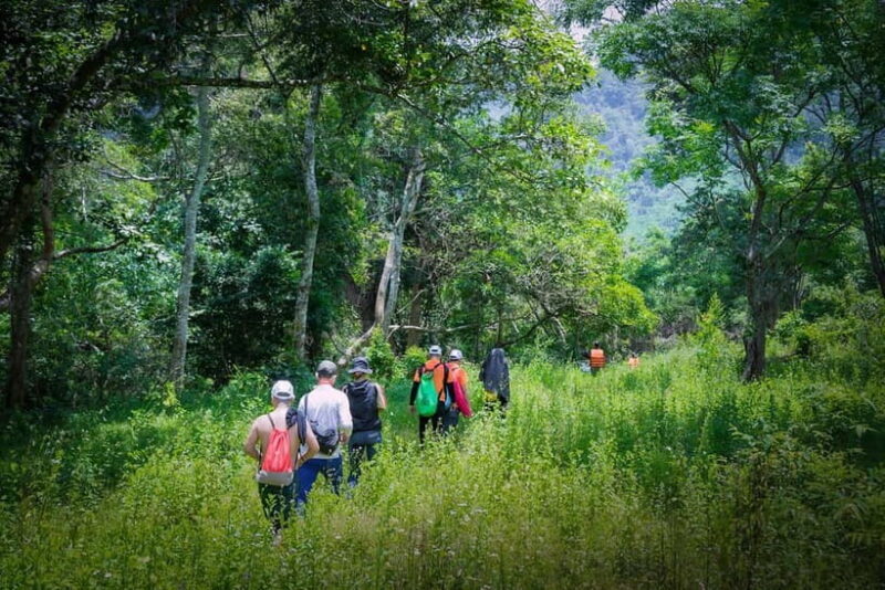 Dong Hoi: Paradise Cave & Phong Nha Botanical Garden Trek - Review of Dong Hoi: Paradise Cave & Phong Nha Botanical Garden Trek