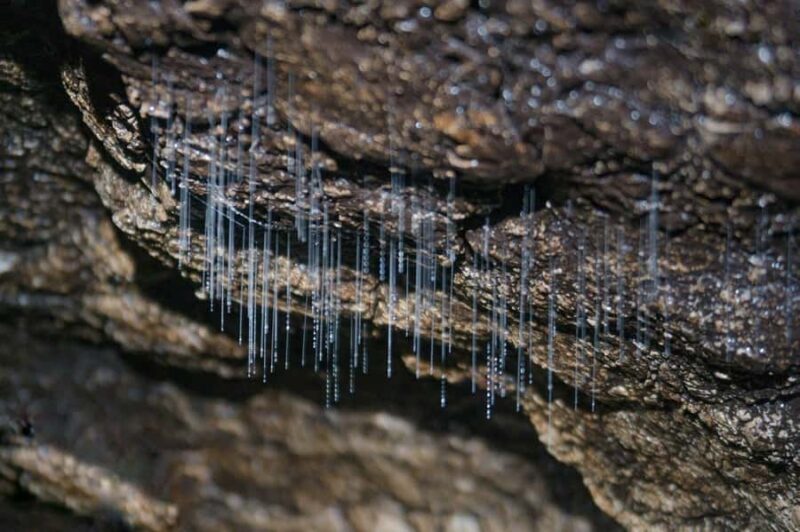 Dong Hoi: Paradise Cave & Phong Nha Cave Full-Day Tour - Who Should Consider This Tour?