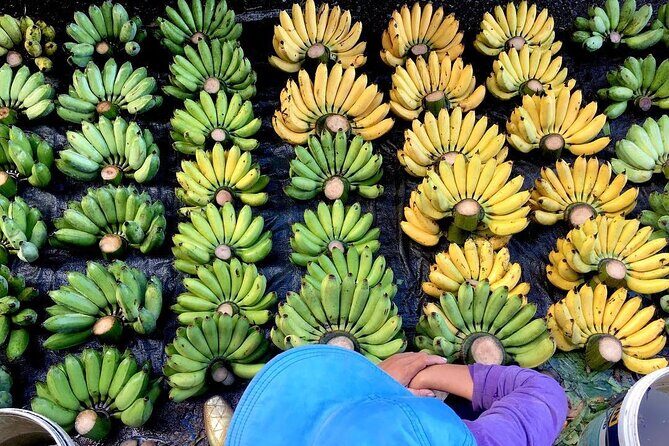 Dong Hoi Sightseeing and Street Food Bike Tour - What Travelers Say About the Experience