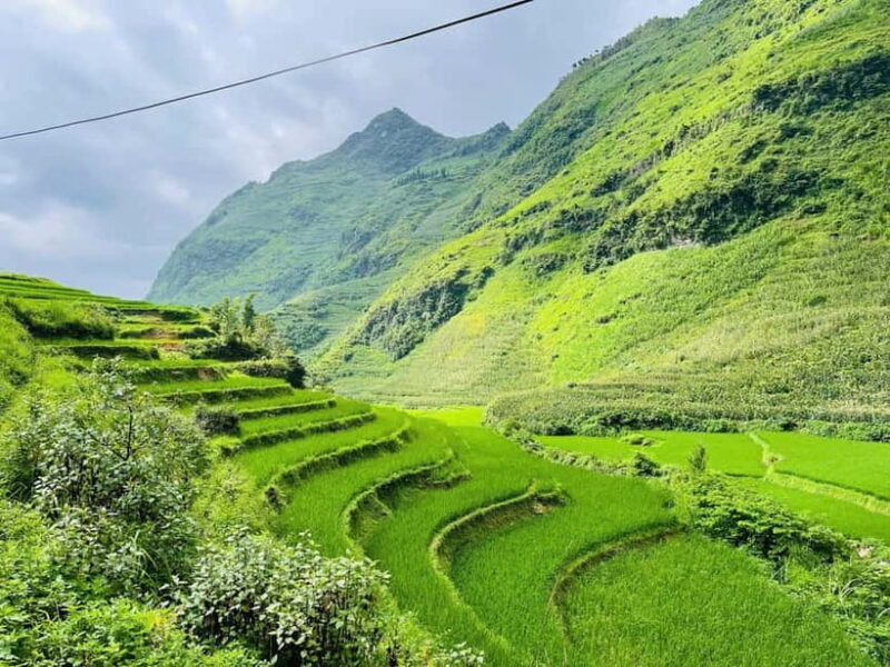 Dong Van: 2-Day Trekking Tour with Local Homestay - Authentic and Value-Driven Travel