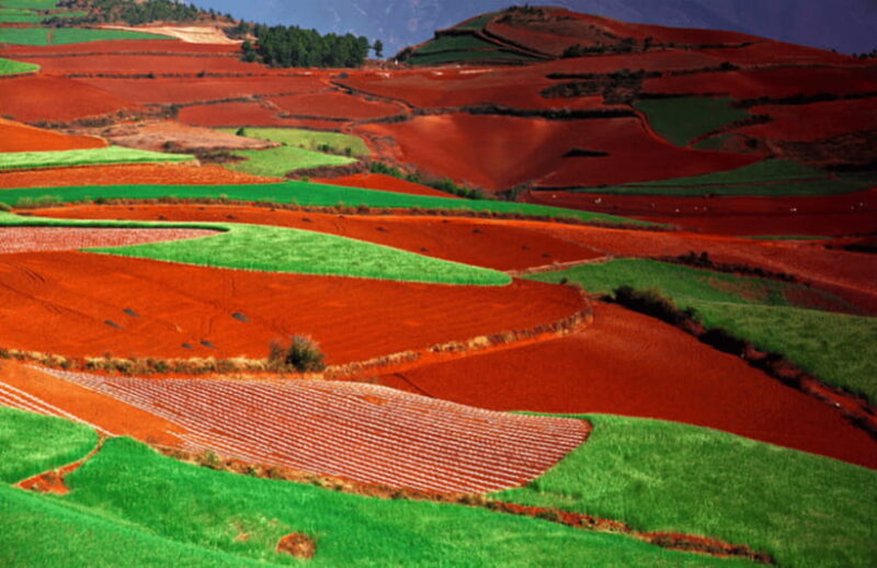 Dongchuan red earth start from Kunming - An In-Depth Look at the Tour Experience