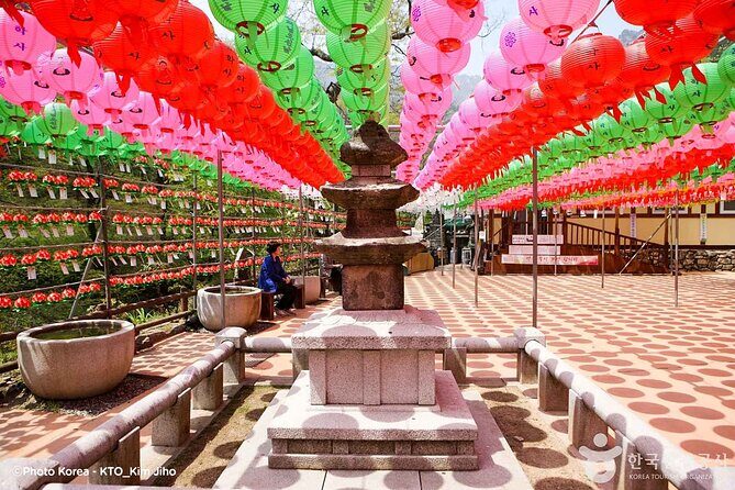 Donghaksa Temple Cherry Blossom and Jeonju Hanok Village - The Itinerary in Detail