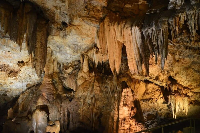 Donkey Farm and Lipa Cave Tour; Cave Crawling Donkey Calling - The Practical Details