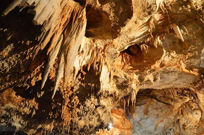 Donkey Farm and Lipa Cave Tour; Cave Crawling Donkey Calling - The Experience from Travelers’ Views