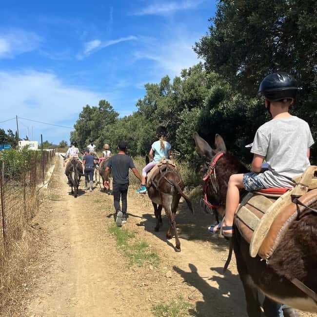 Donkey Ride - Cretan Country - The Guides and the Experience