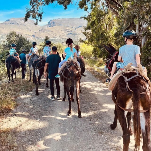 Donkey Ride - Cretan Country - The Itinerary and What to Expect