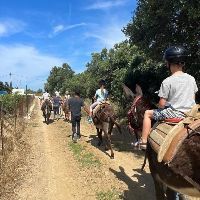 Donkey Ride - Cretan Country - The Price and Its Value