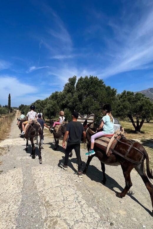 Donkey Ride - Cretan Country - The Experience Provider and Practicalities