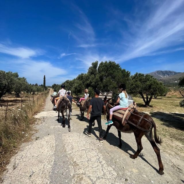 Donkey Riding - Coastline Ride - The Experience in Detail