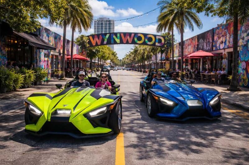 Dont Miss Out  4-Hour Slingshot Experience - The Experience in Detail