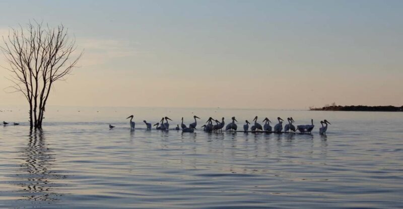Door County Historic Cottage Row & Strawberry Islands Cruise - An Intimate Overview of the Cruise Experience