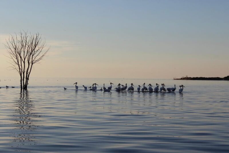 Door County Historic Cottage Row & Strawberry Islands Cruise - FAQ