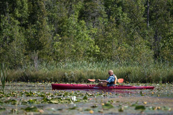 Door County Wetlands Kayak Tour - Exploring the Door County Wetlands Kayak Tour: A Clear Water Escape