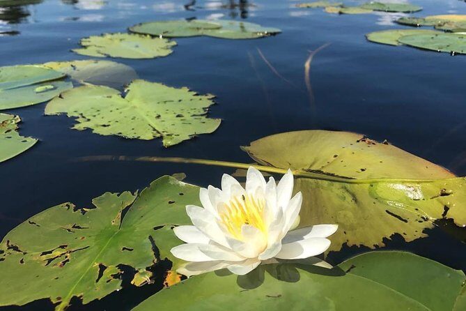 Door County Wetlands Kayak Tour - Key Points