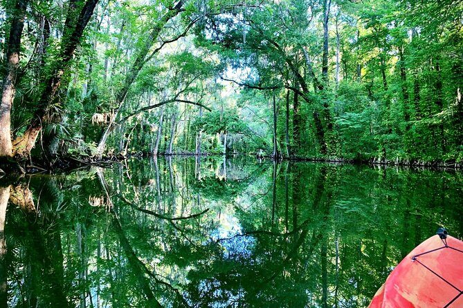 Dora Canal Half-Day Kayak and Paddle Board Rental Adventure - FAQ