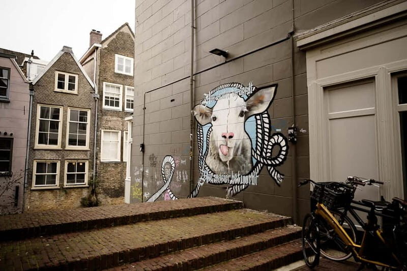 Dordrecht: Street Art Tour - Key Points