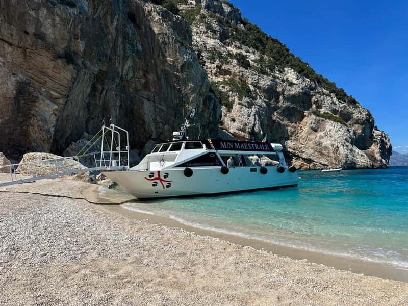 Dorgali: Cala Luna Boat Trip - Key Points