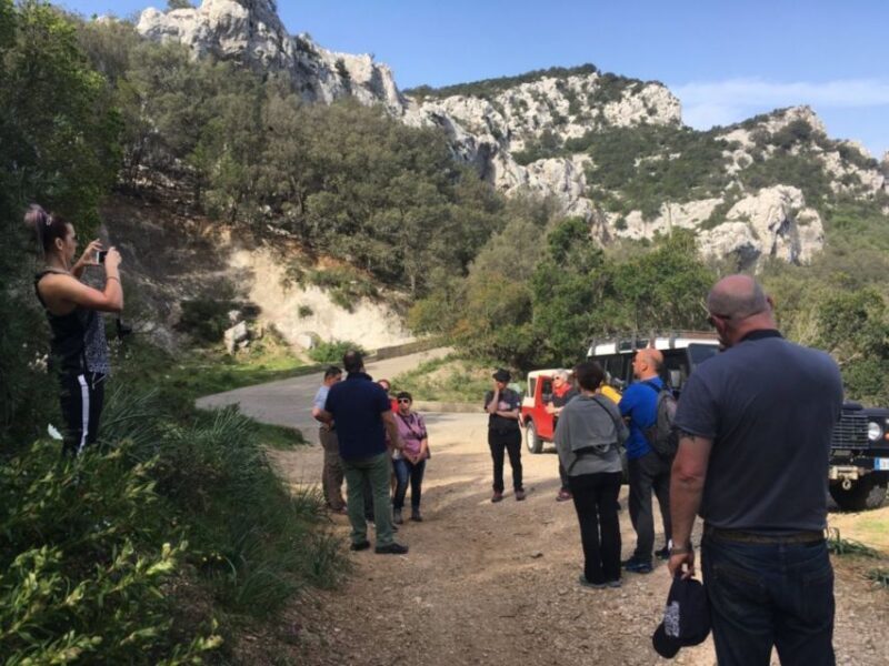 Dorgali: Supramonte Full-day Jeep Off-Roading & Hiking Tour - Review Insights: What Travelers Say